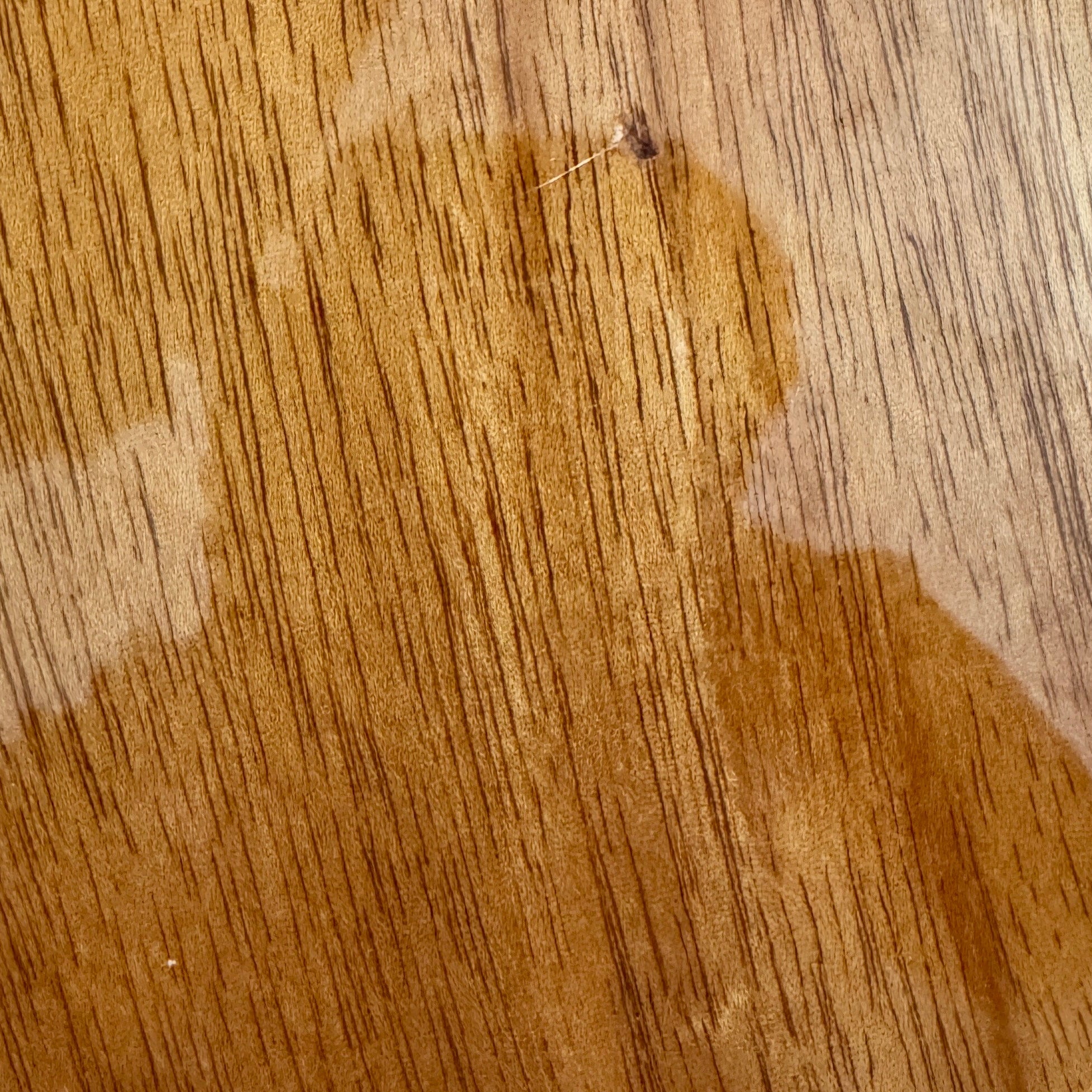 PRS Paul Reed Smith CE 22 Electric Guitar w/ Hard Case